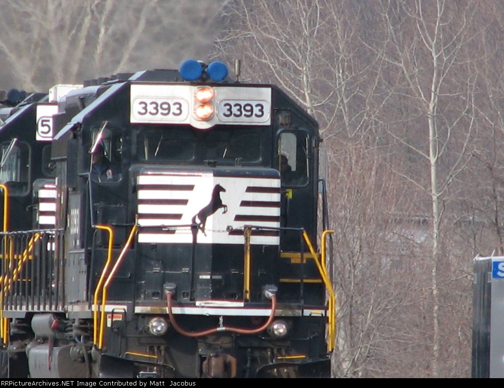 NS 3393
